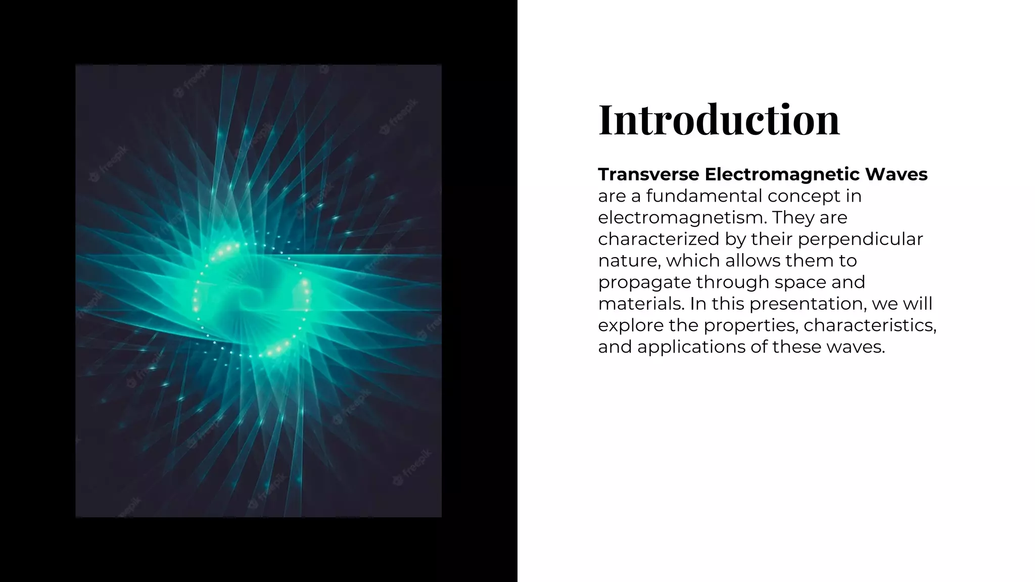 PHYSICS PPT transverse electro.....pdf