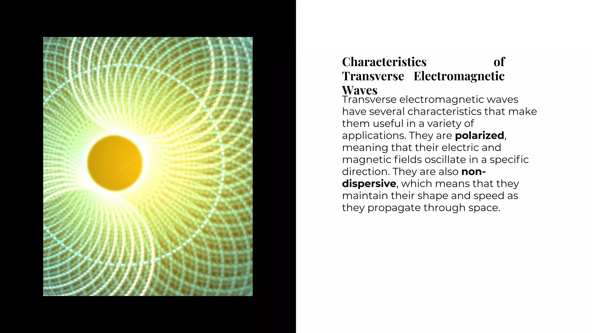 PHYSICS PPT transverse electro.....pdf