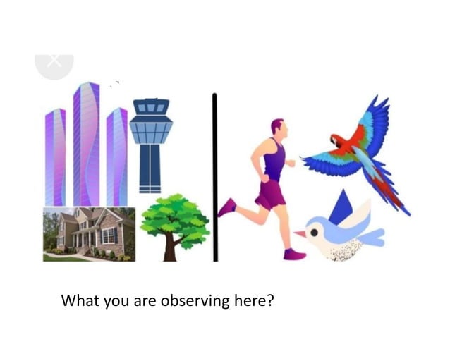 physics force ppt | PPT