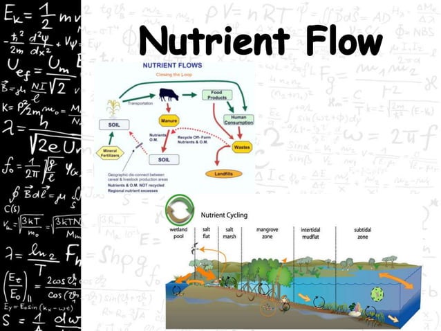 Nutrient Flow and its resources | PPTX