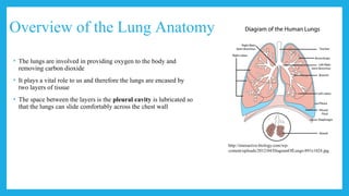 Physics of Pneumothorax | PPT