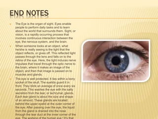 Physics project | PPTX