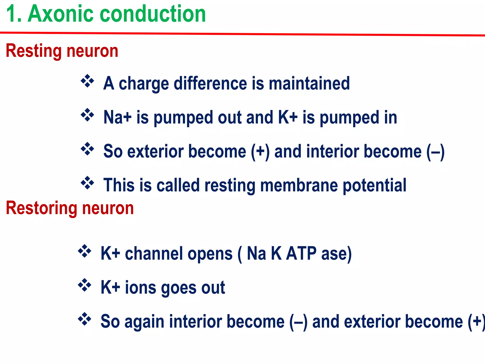 PHYSIOLOGY OF IMPULSE TRANSMISSION IN INSECTS SSNAIK TNAU | PPT