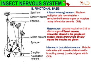 PHYSIOLOGY OF IMPULSE TRANSMISSION IN INSECTS SSNAIK TNAU | PPT
