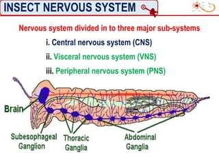 PHYSIOLOGY OF IMPULSE TRANSMISSION IN INSECTS SSNAIK TNAU | PPT