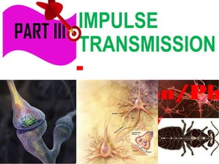 PHYSIOLOGY OF IMPULSE TRANSMISSION IN INSECTS SSNAIK TNAU | PPT