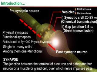 PHYSIOLOGY OF IMPULSE TRANSMISSION IN INSECTS SSNAIK TNAU | PPT