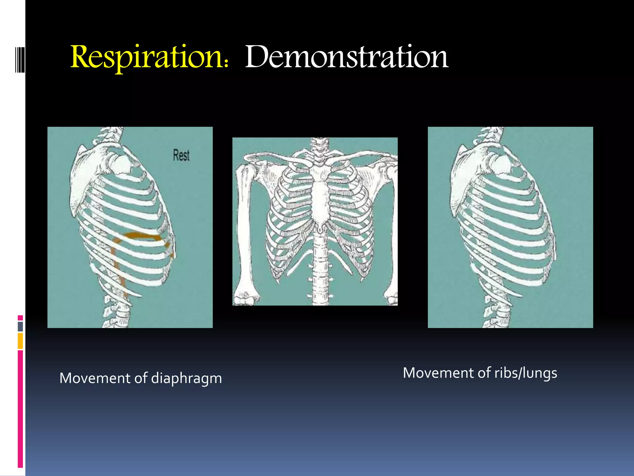 Physilogy of phonation by Dr.Ashwin Menon | PPTX