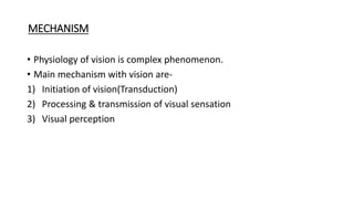 PHYSILOGY OF VISION-1.pptx