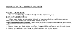 PHYSILOGY OF VISION-1.pptx