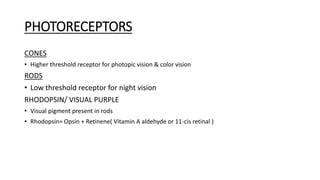 PHYSILOGY OF VISION-1.pptx