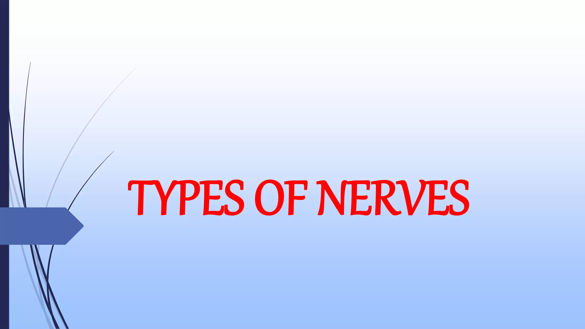 NERVOUS SYSTEM and it's division | PPTX