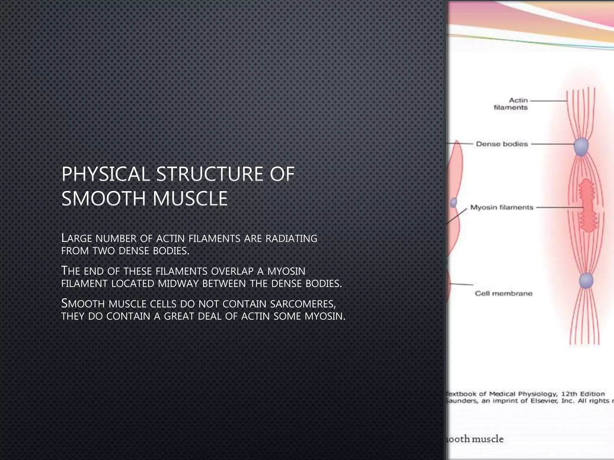 Muscles cells of hollow organs | PPTX