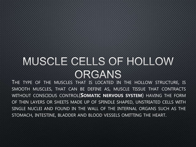 Muscles cells of hollow organs | PPT