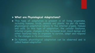 physio. adaptation copy.pptx