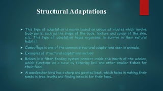 physio. adaptation copy.pptx