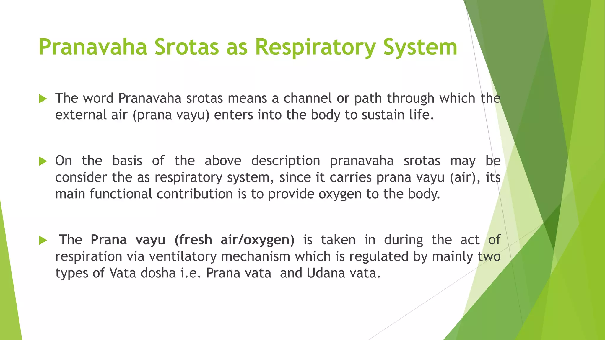 Physio - Anatomical Consideration of Pranavaha Srotas | PPTX