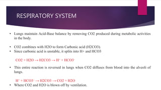PHYSIO-BIOCHEMISTRY OF ACID BASE BALANCE.pptx