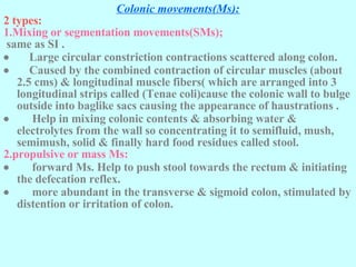 Physio Gi 5,6. | PPT | Digestive Disorders | Diseases and Conditions