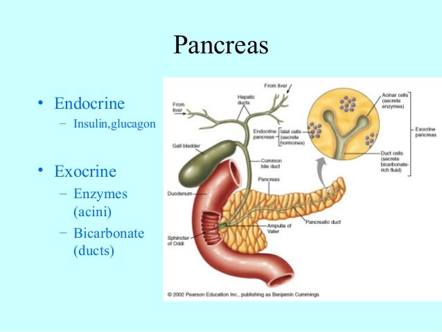 Physio gi-78-mcq plus.