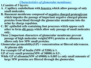 Physio Renal 2. | PPT