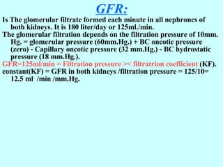 Physio Renal 2. | PPT