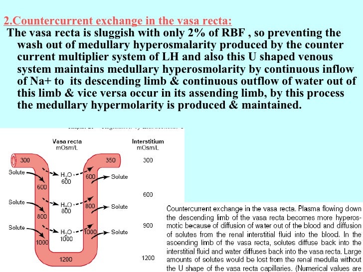 Physio Renal 4.