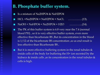 Physio Renal 6. | PPT