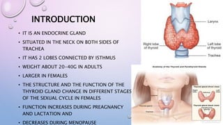 PHYSIO 2.pptx