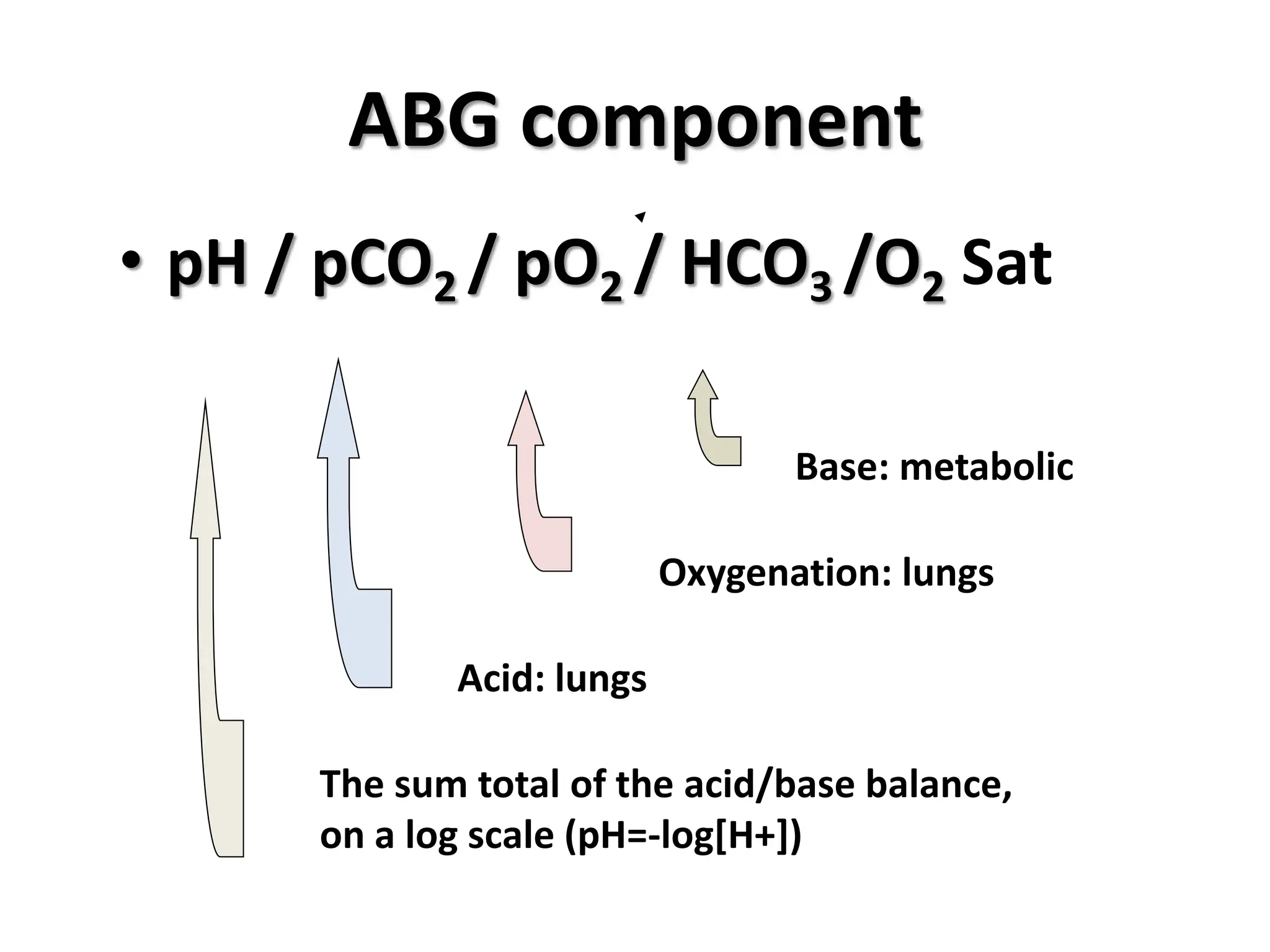 PHYSIO_ ABG Analysis | PPT
