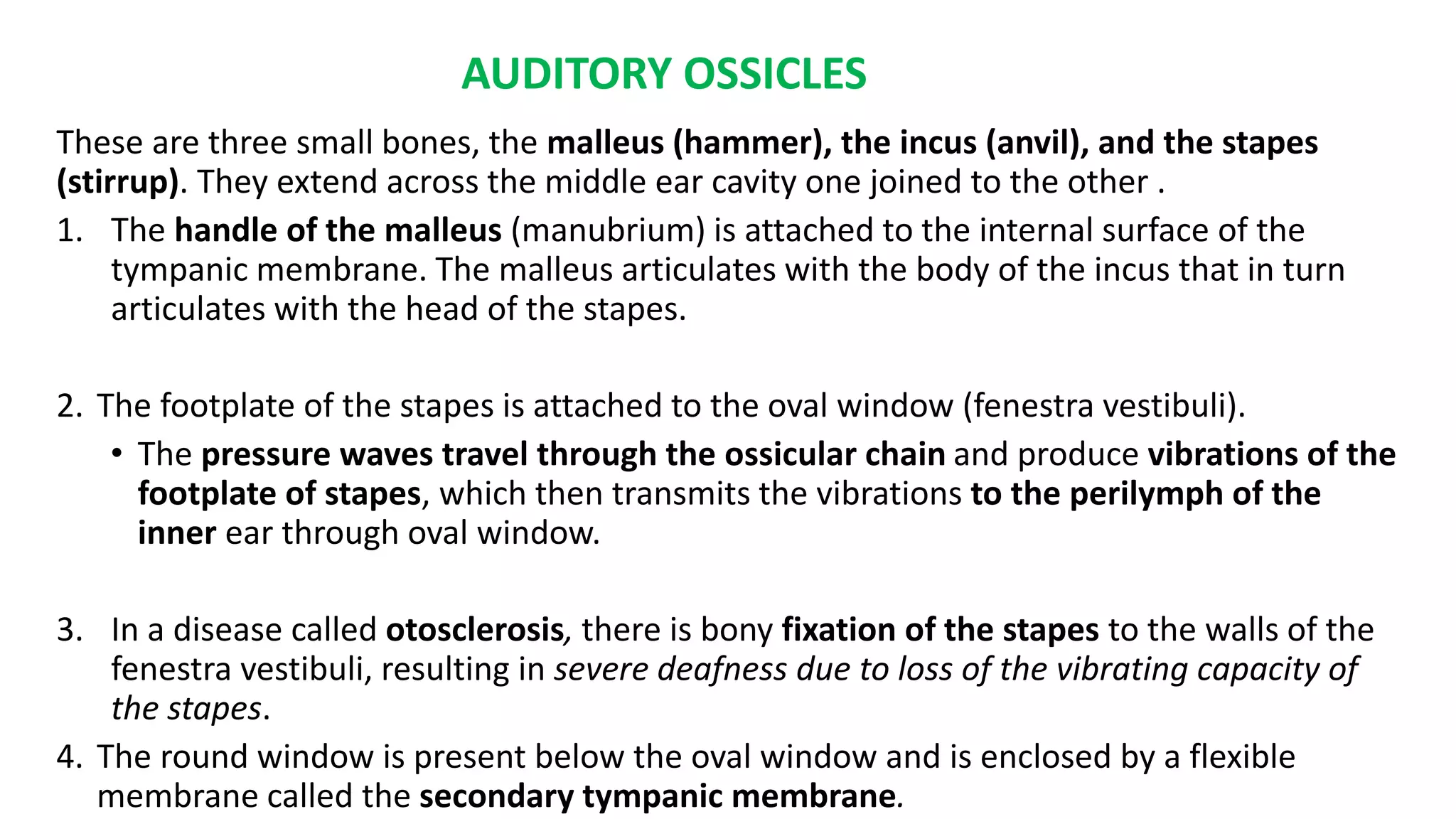 physioanatomy of ear.pptx