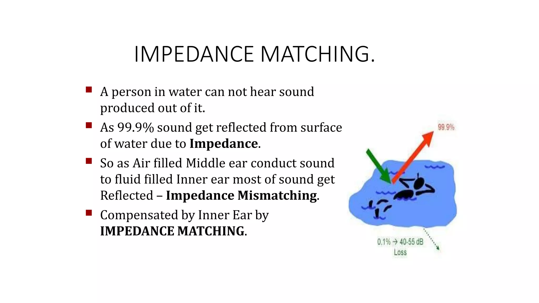 physioanatomy of ear.pptx