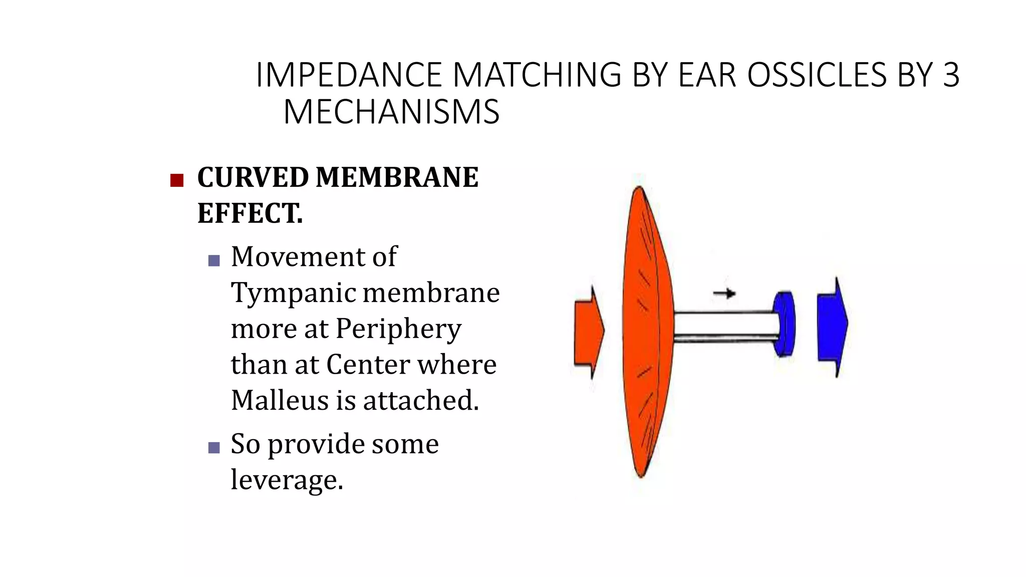 physioanatomy of ear.pptx