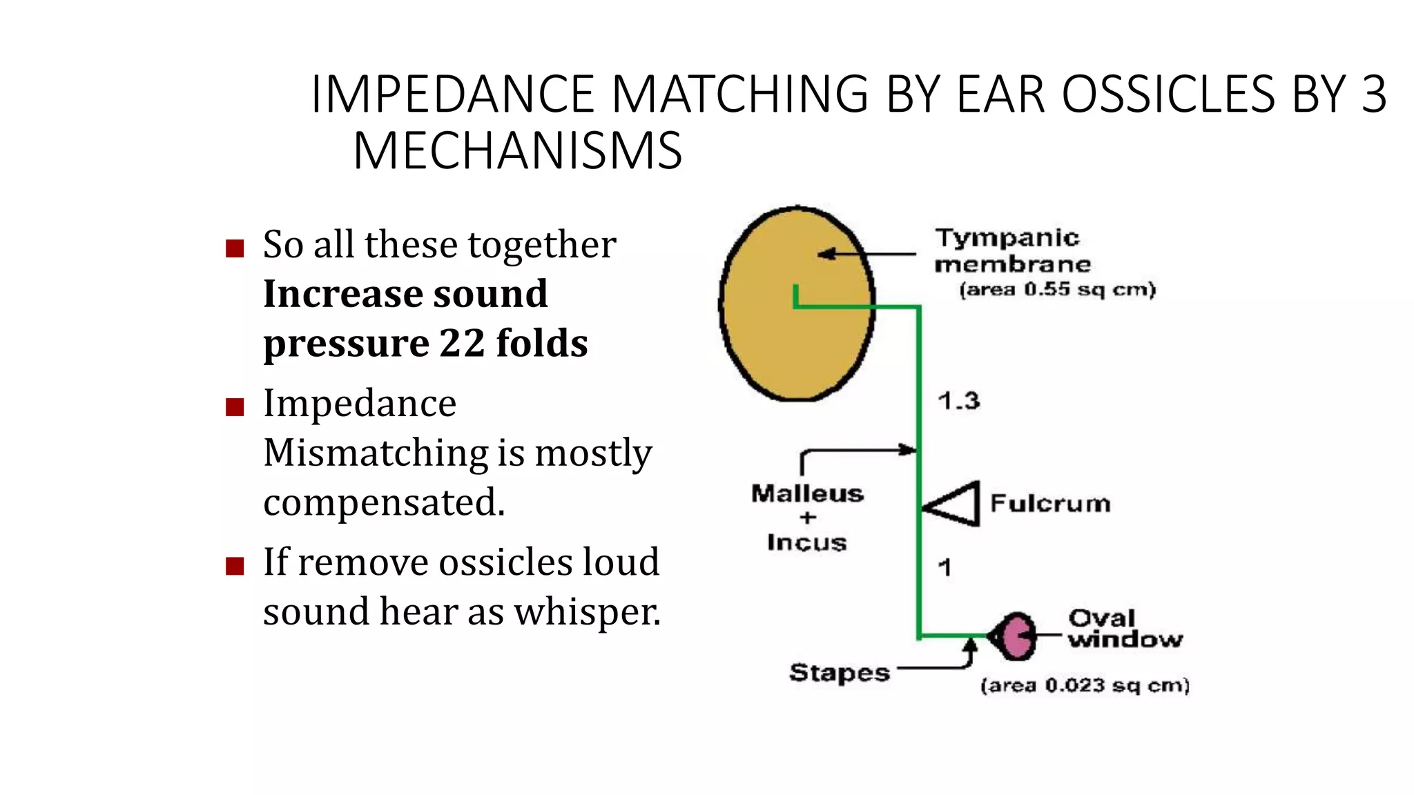 physioanatomy of ear.pptx