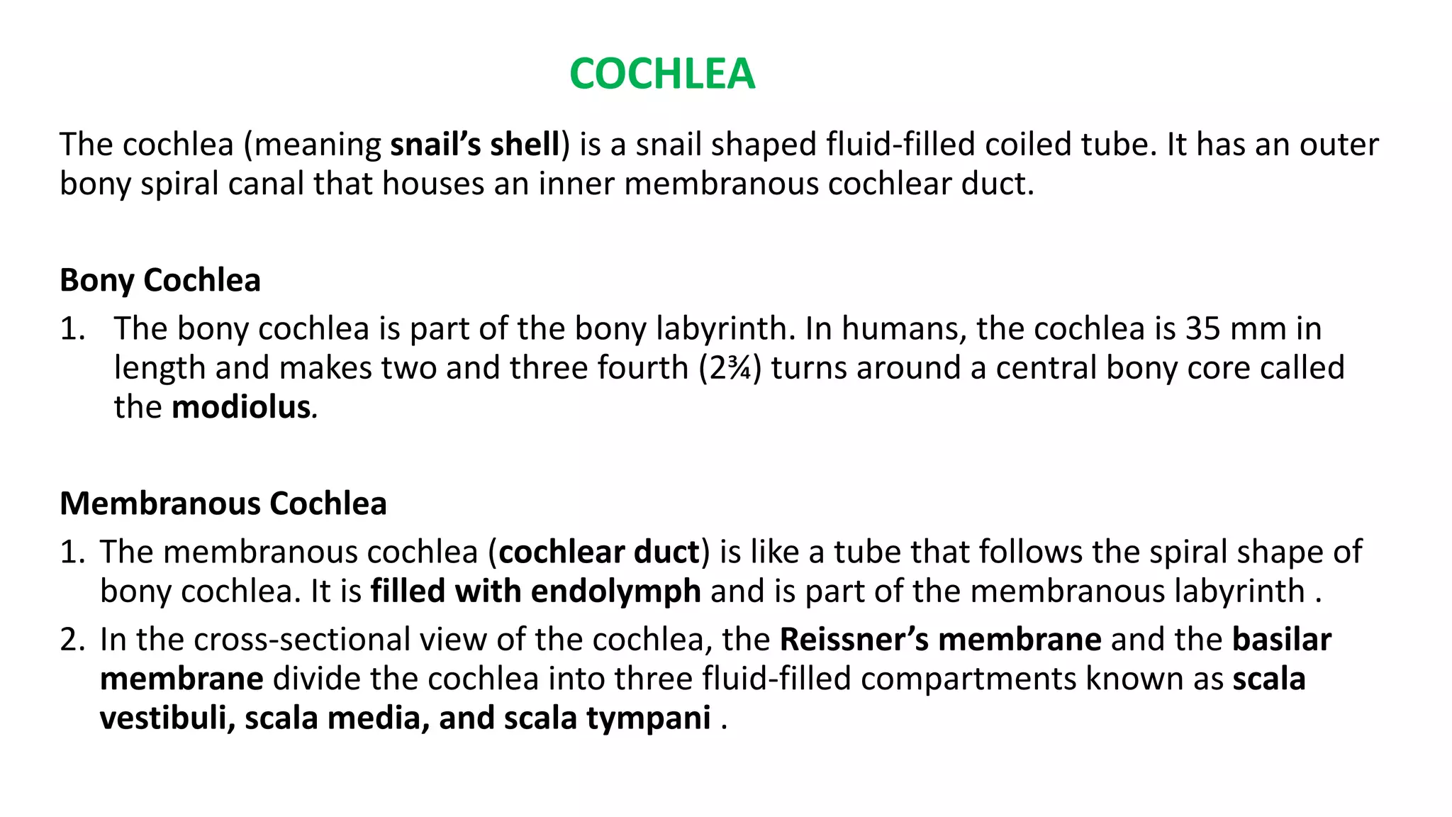 physioanatomy of ear.pptx