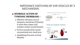 physioanatomy of ear.pptx