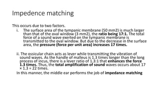 physioanatomy of ear.pptx
