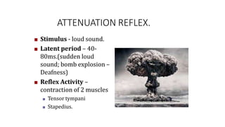 physioanatomy of ear.pptx
