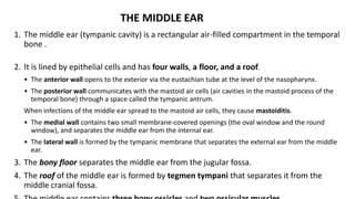 physioanatomy of ear.pptx