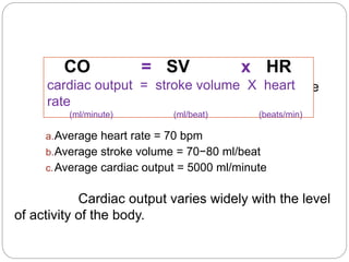 cardiac output