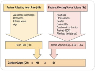 Cardiac Output Diagram