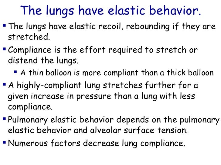 Physio chapter 13 lungs