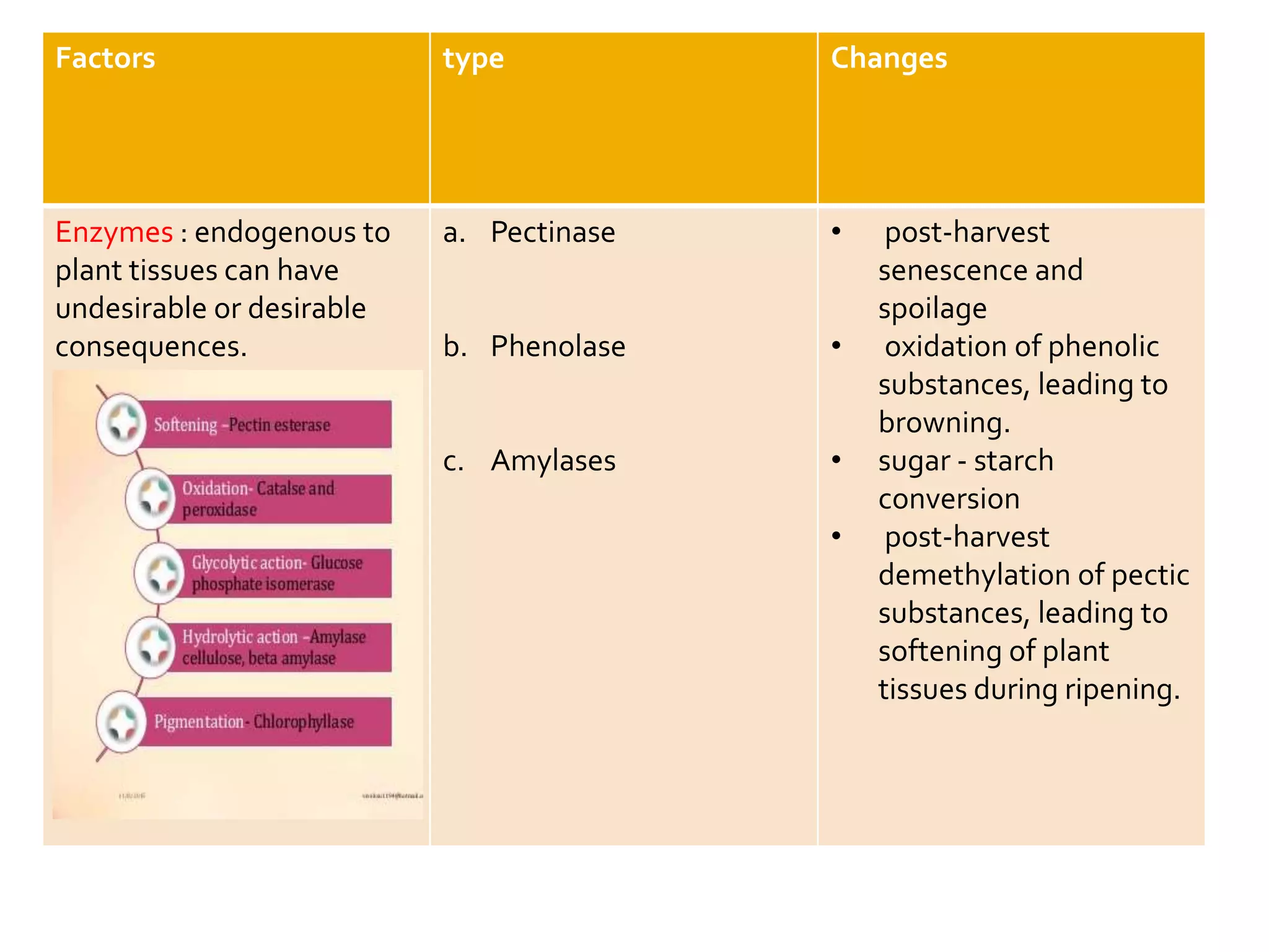 Physiochemical changes in stored food ( non air tight produce ) | PPTX