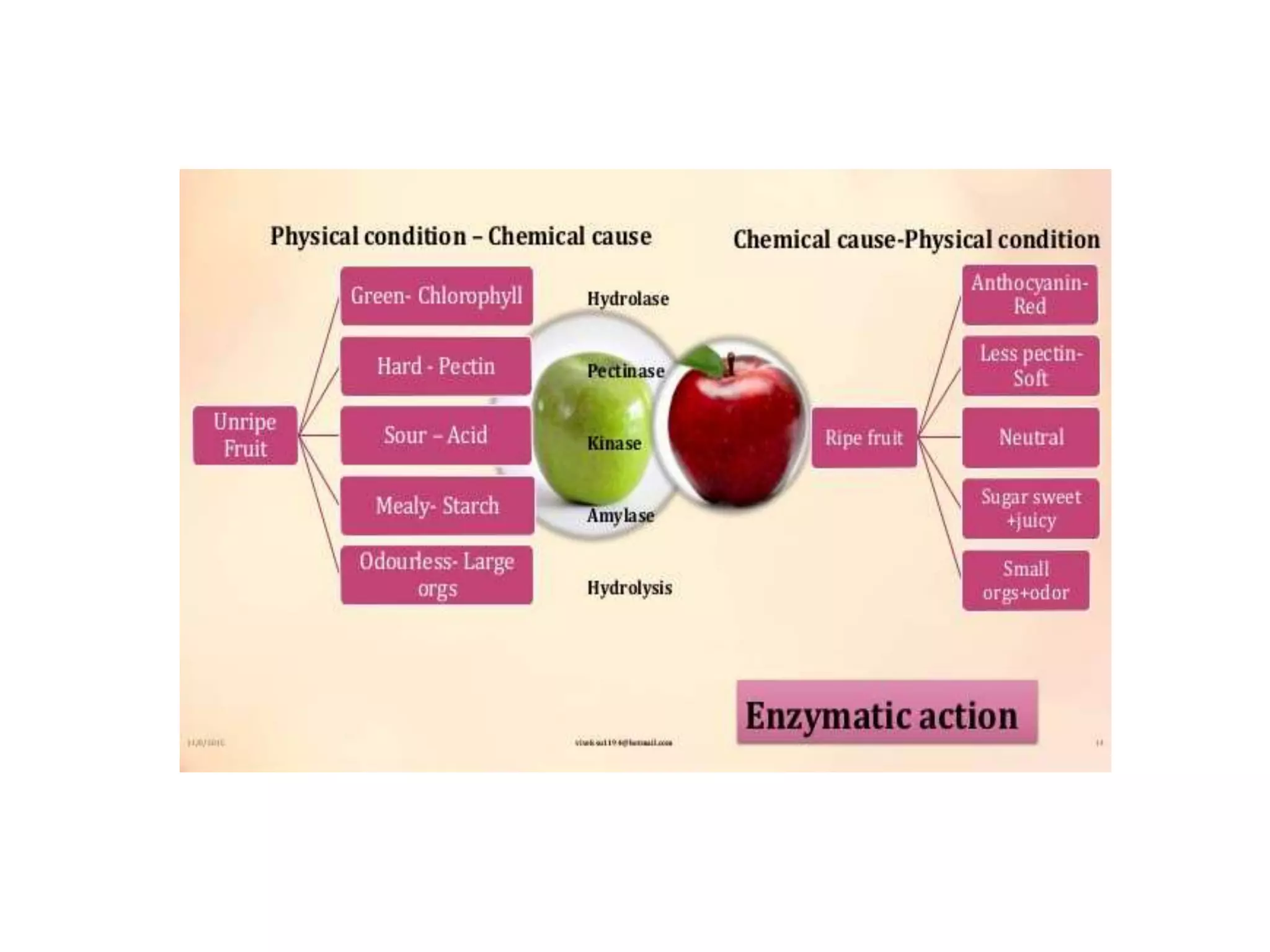 Physiochemical changes in stored food ( non air tight produce ) | PPTX