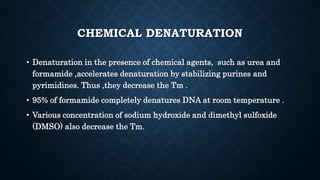 Physiochemical properties of dna | PPTX