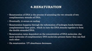 Physiochemical properties of dna | PPTX