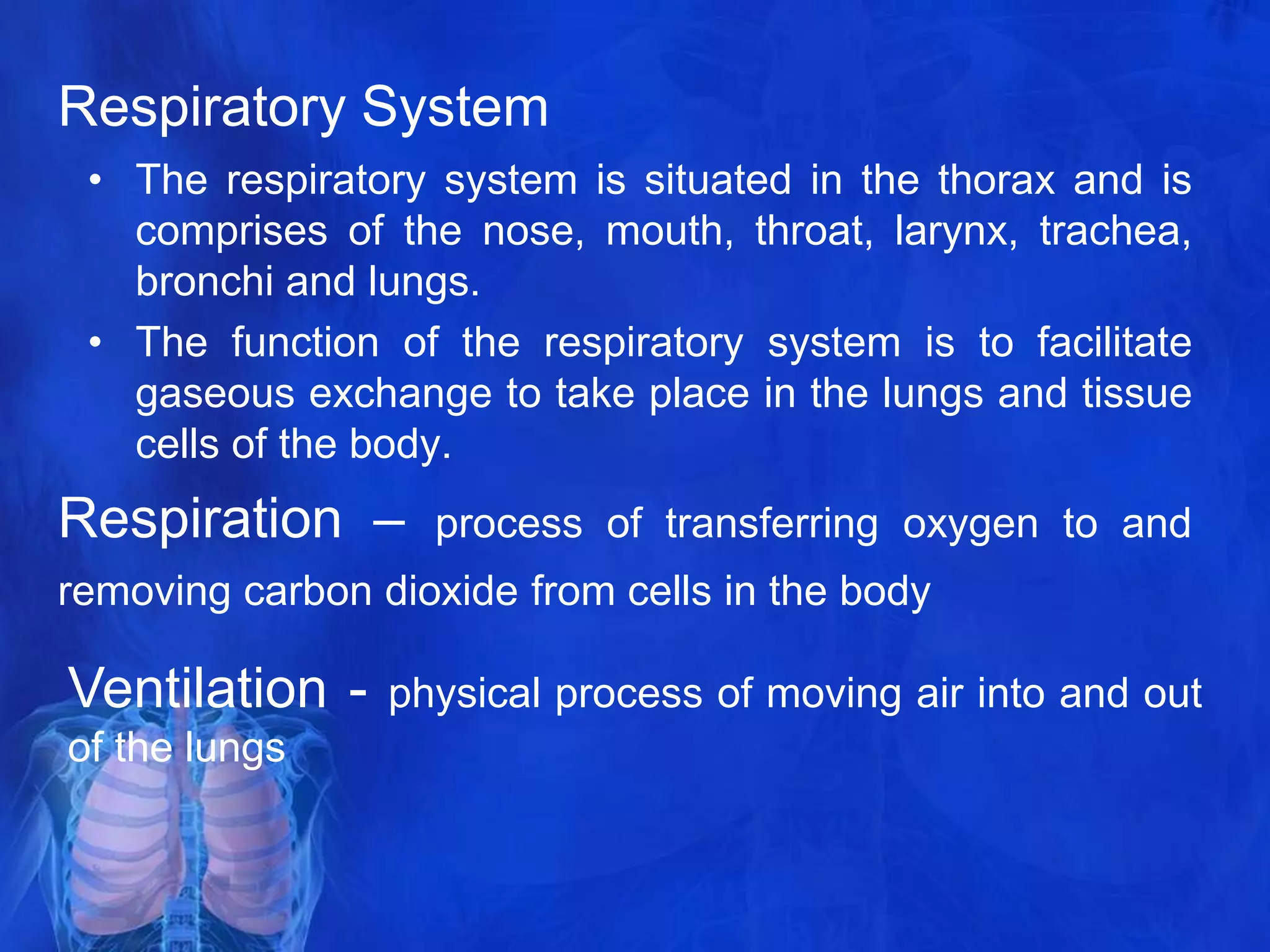 Physio ex respiratory system | PPTX