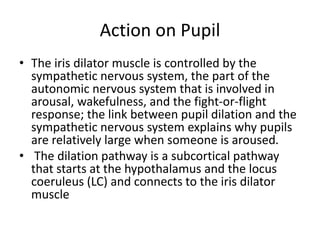 Physiolology of Eye: Power of Accommodation and Perimetry | PPT