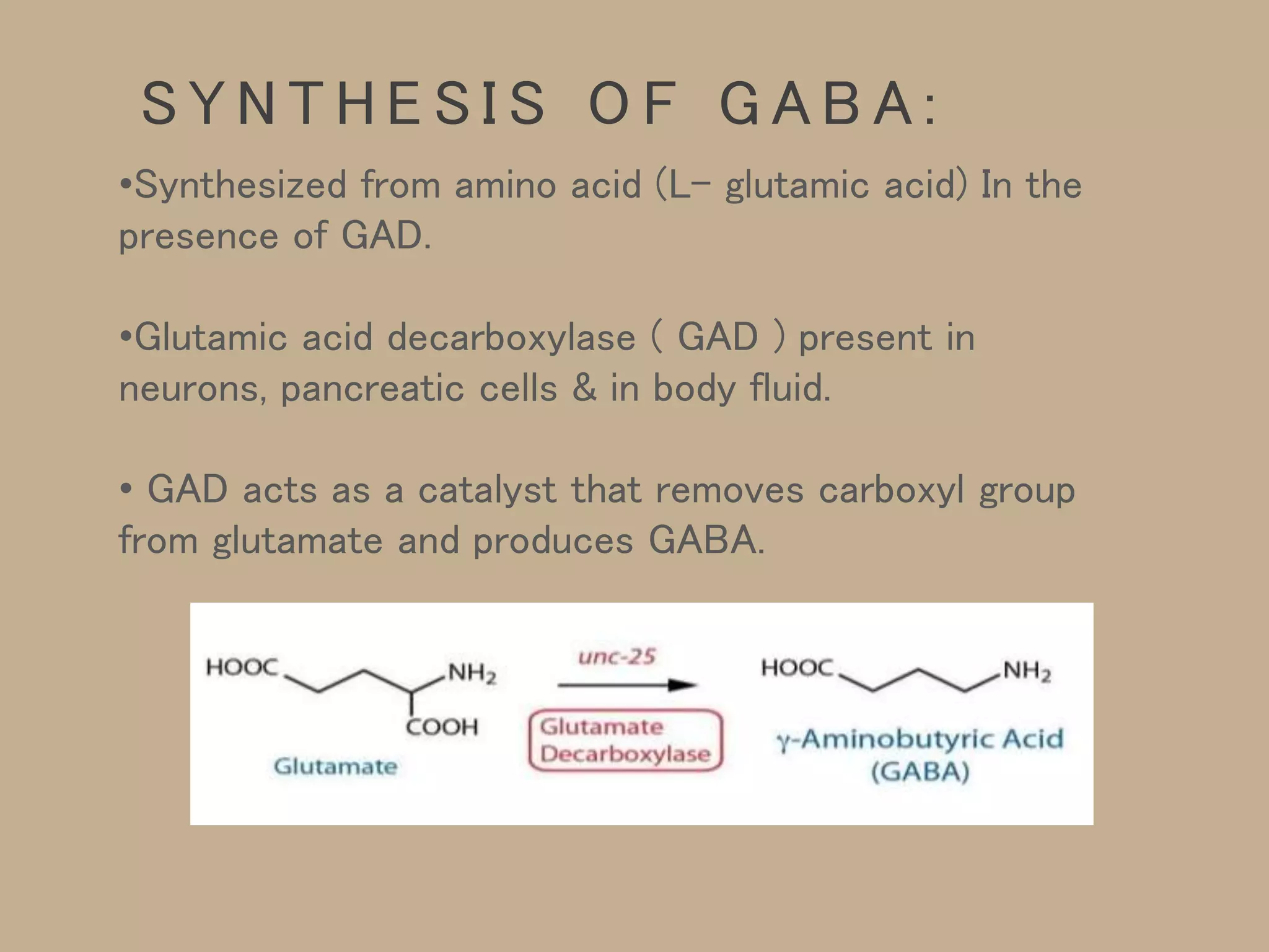 GABA neurotransmitter | PPTX