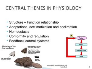 Physiol 02 central themes in physiology 1 | PPT